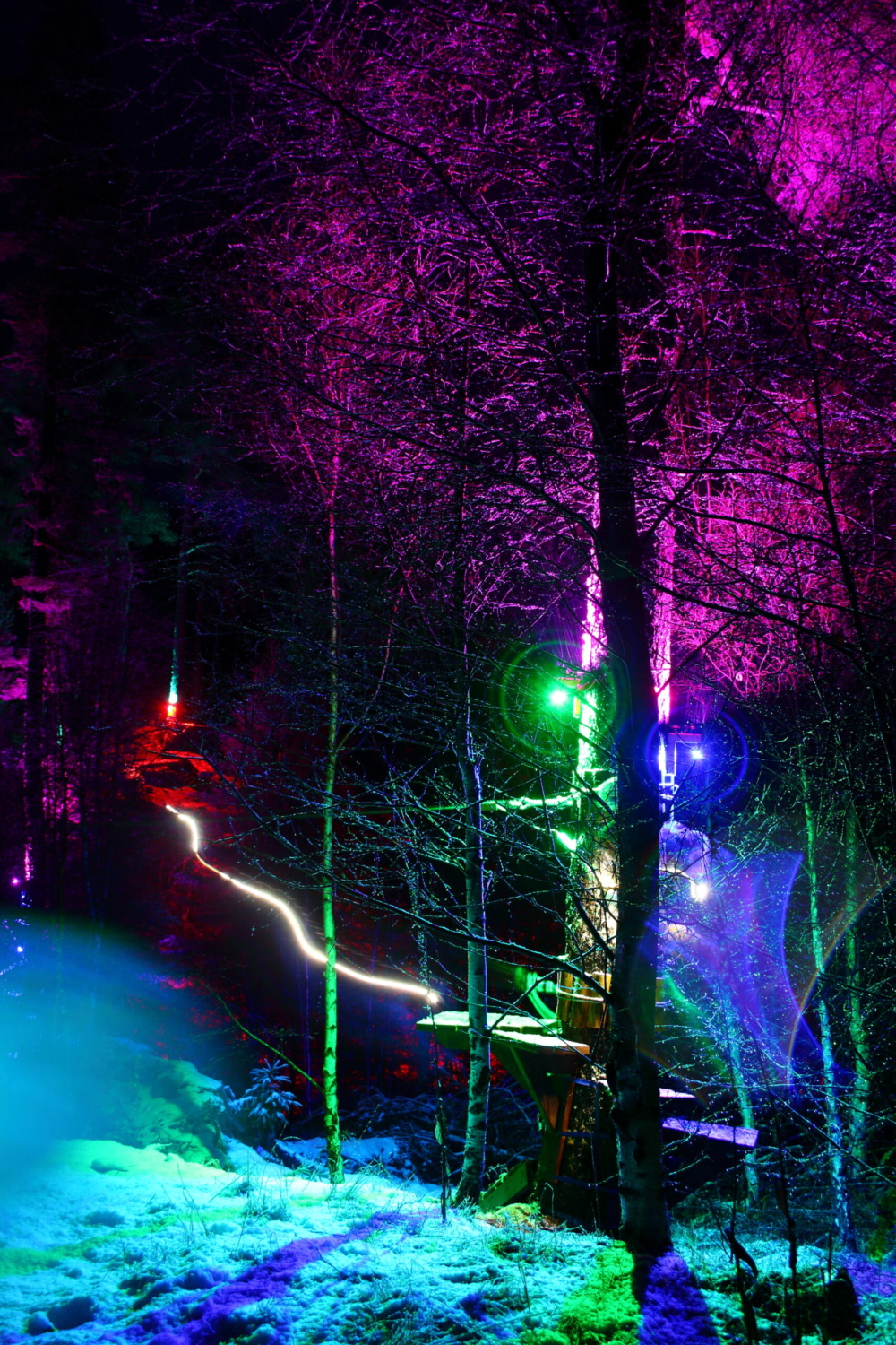 Night Zip Adventure: A Unique Winter Experience near Aviemore